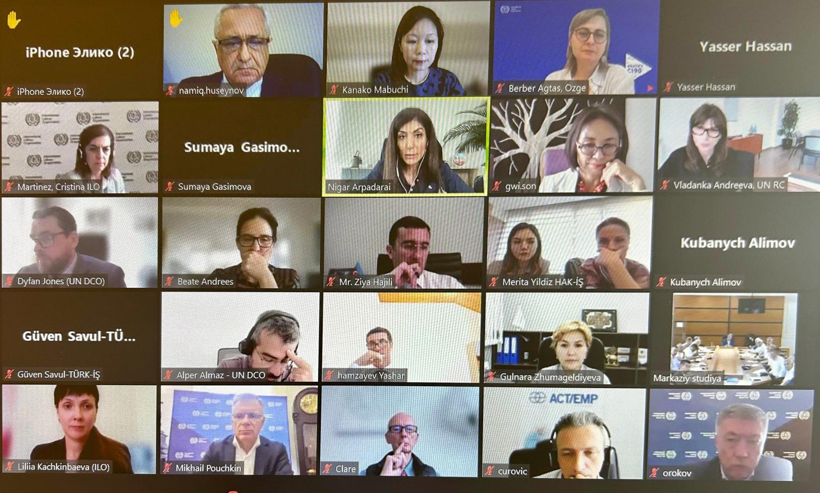 UN Climate Change High-Level Champion for COP29 engages Europe and Central Asia in dialogue on ...